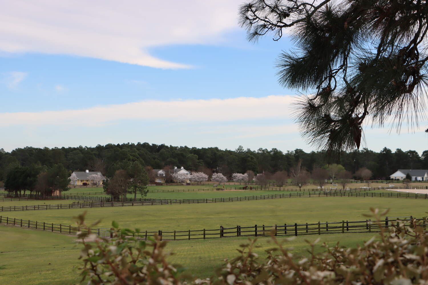 Braden Place | Discover the charm of Southern Pines